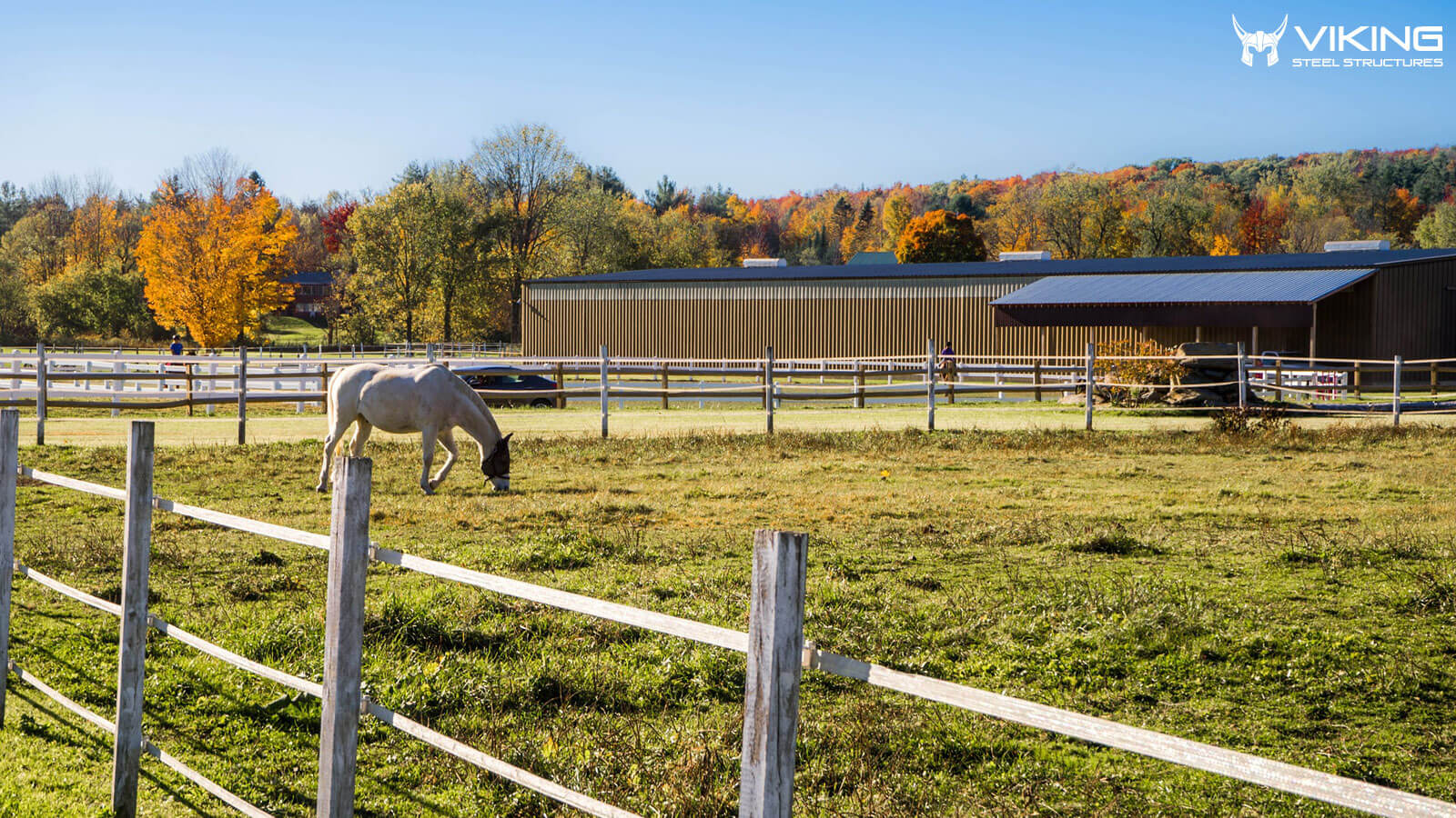 Best Tips To Consider Before Buying A Horse Barn best-tips-to-consider-before-buying-a-horse-barn